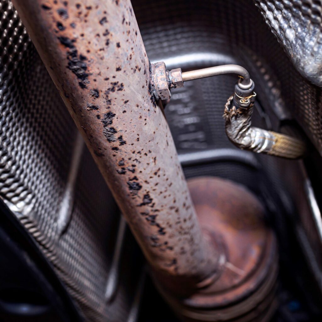 The story of Botland - Botland